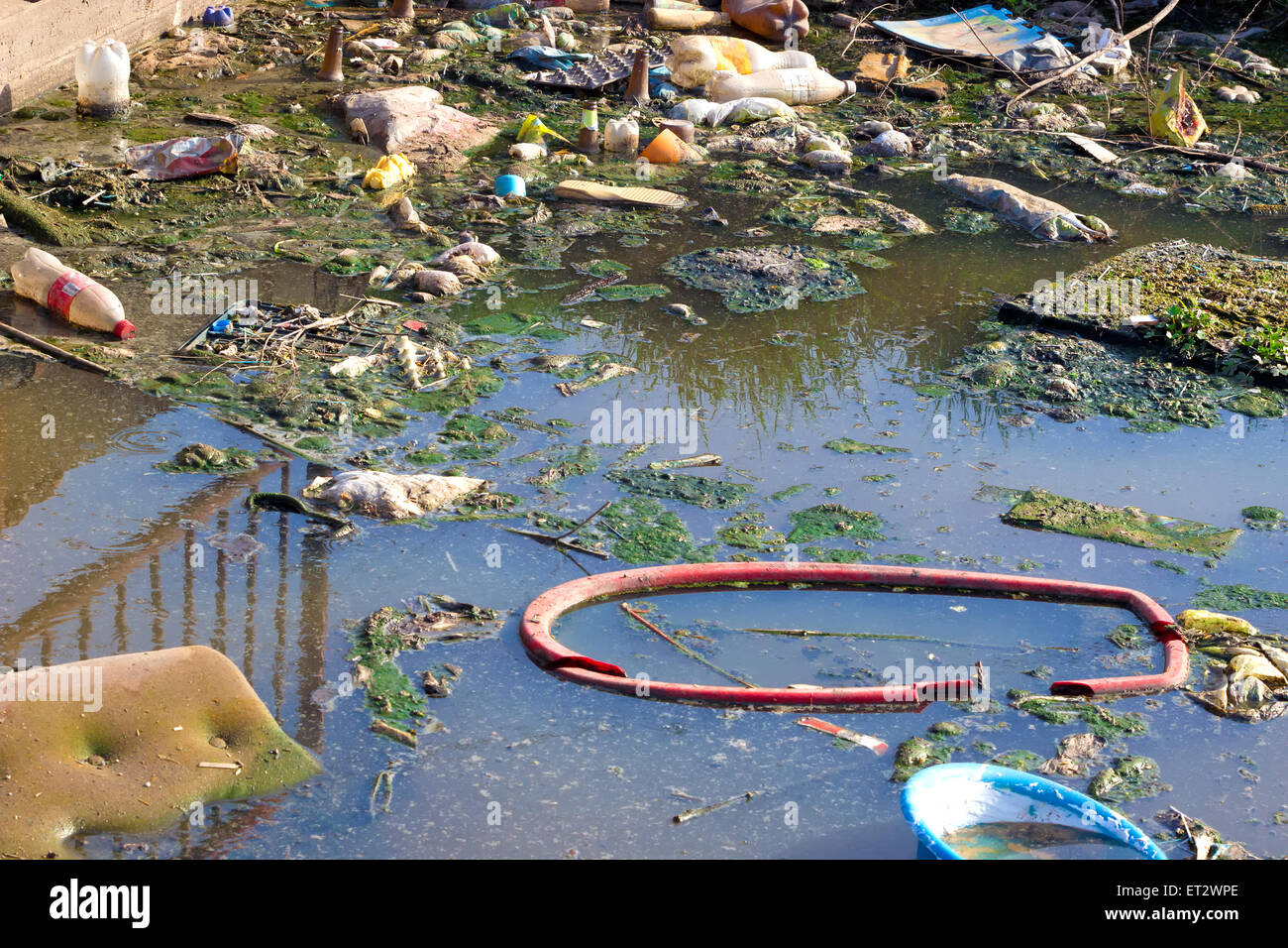 Garbage trash pollution in lake hi-res stock photography and images - Alamy