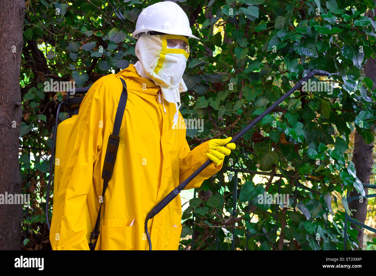 Disinfection Stock Photos & Disinfection Stock Images - Alamy