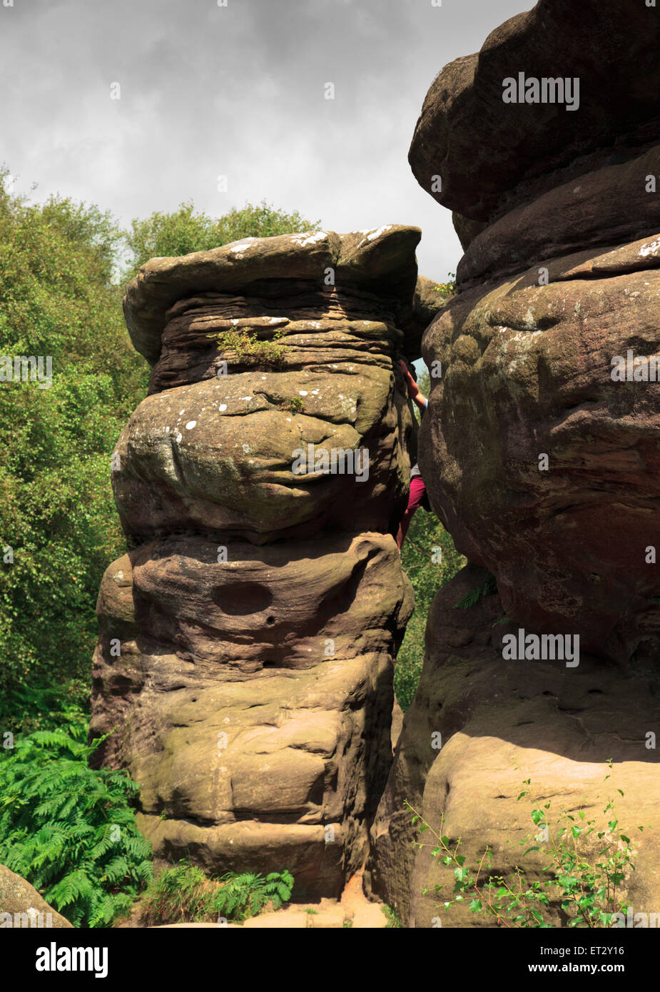 Brimham Rocks, Brimham Moor, a National Trust owned area in North ...