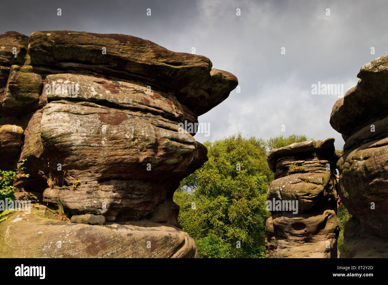 Brimham Rocks, Brimham Moor, a National Trust owned area in North ...