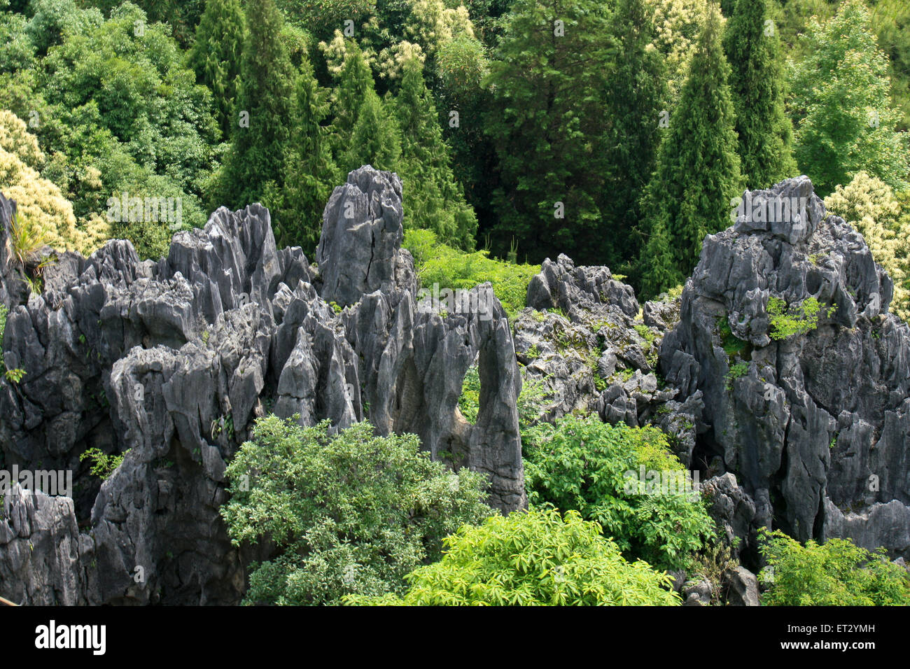 The sharp peaks of the mountains - the Stone Forest Stock Photo - Alamy
