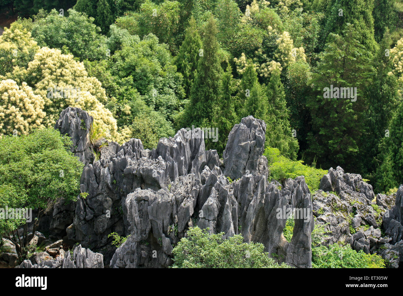 The sharp peaks of the mountains - the Stone Forest Stock Photo - Alamy