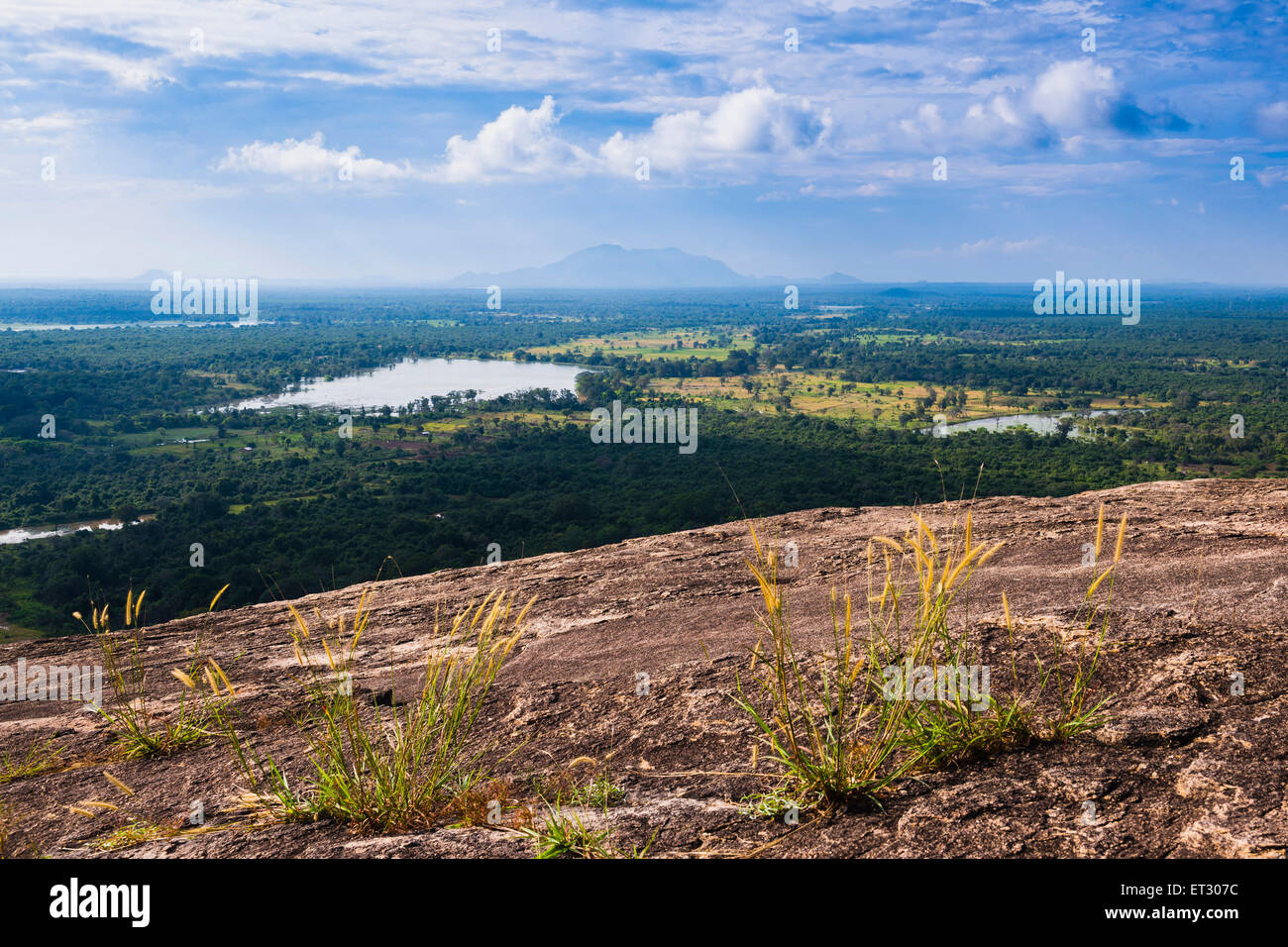 Sri Lanka landscape, taken from Pidurangala Rock, North Central ...