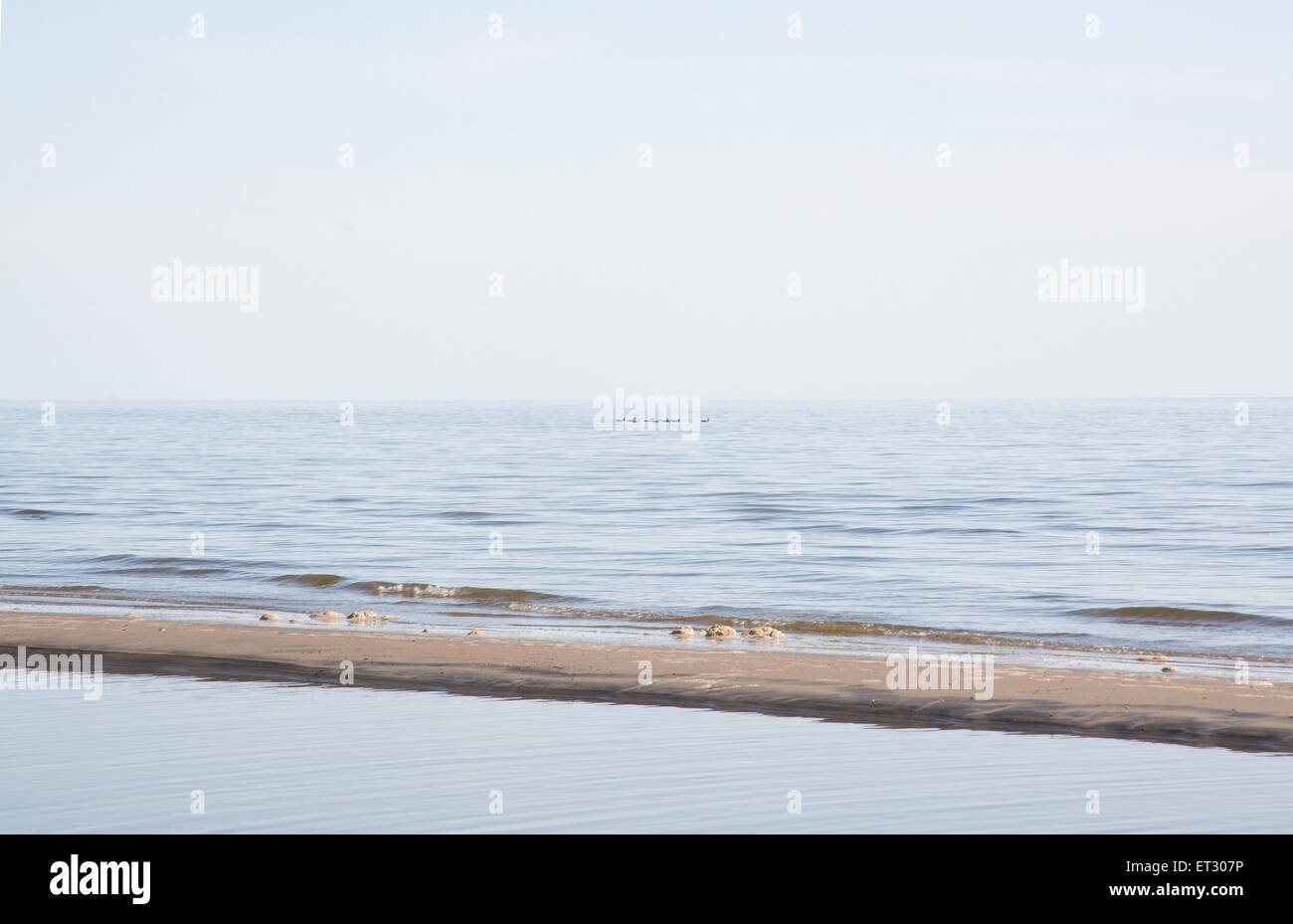 Sandy beach landscape in Falkenberg, Sweden in afternoon sunlight Stock ...