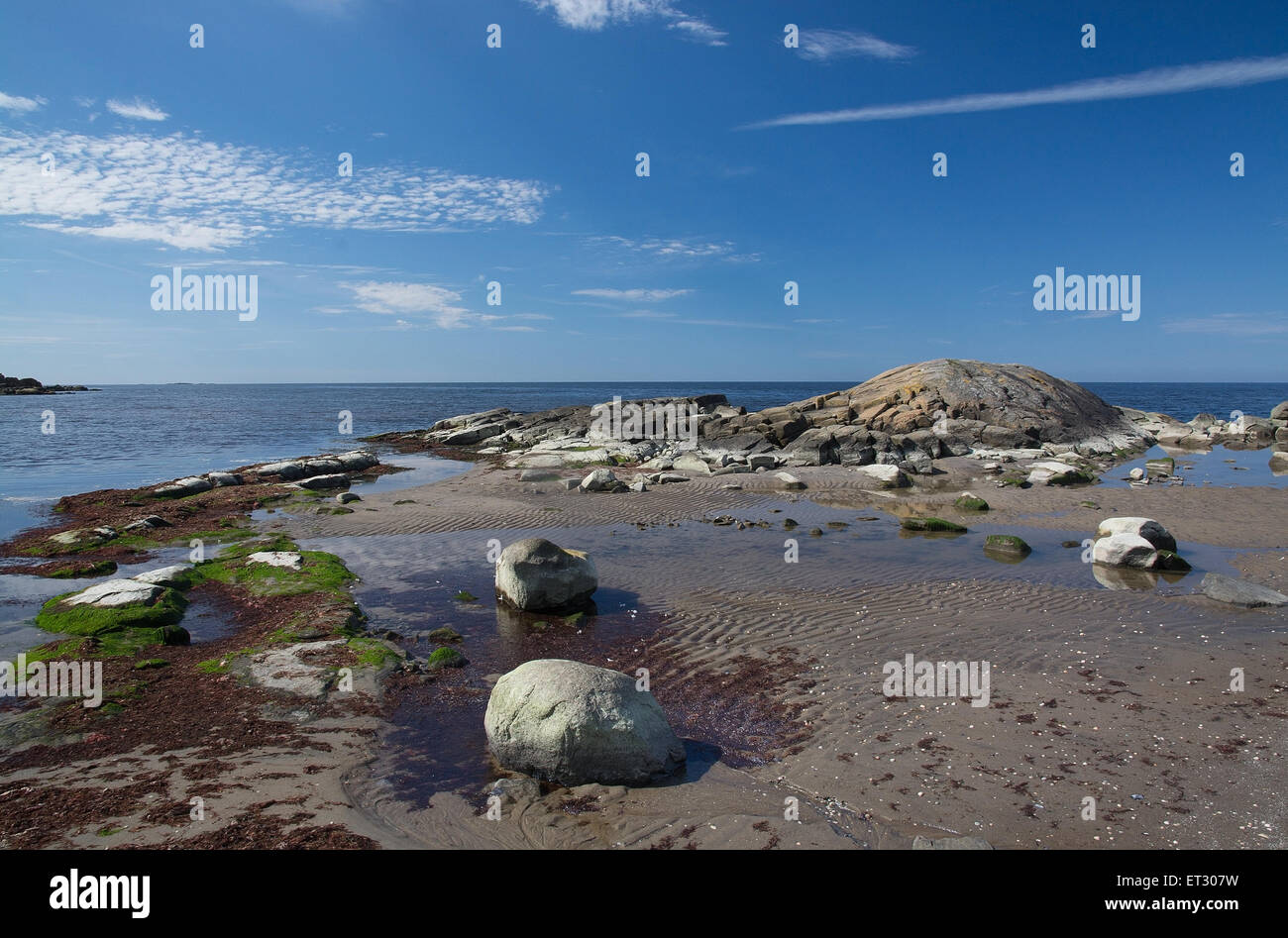 Rocky sandy beach landscape and blue sky in Falkenberg, Sweden Stock ...