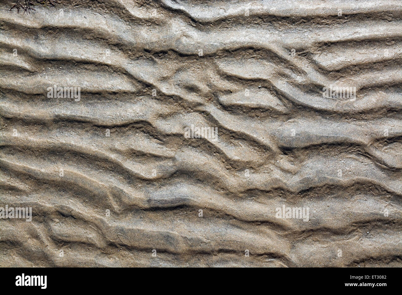 Abstract sand pattern, seaside natural organic landscape detail Stock ...