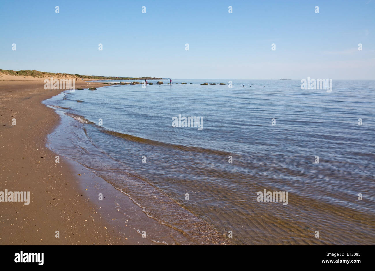 Skrea hi-res stock photography and images - Alamy