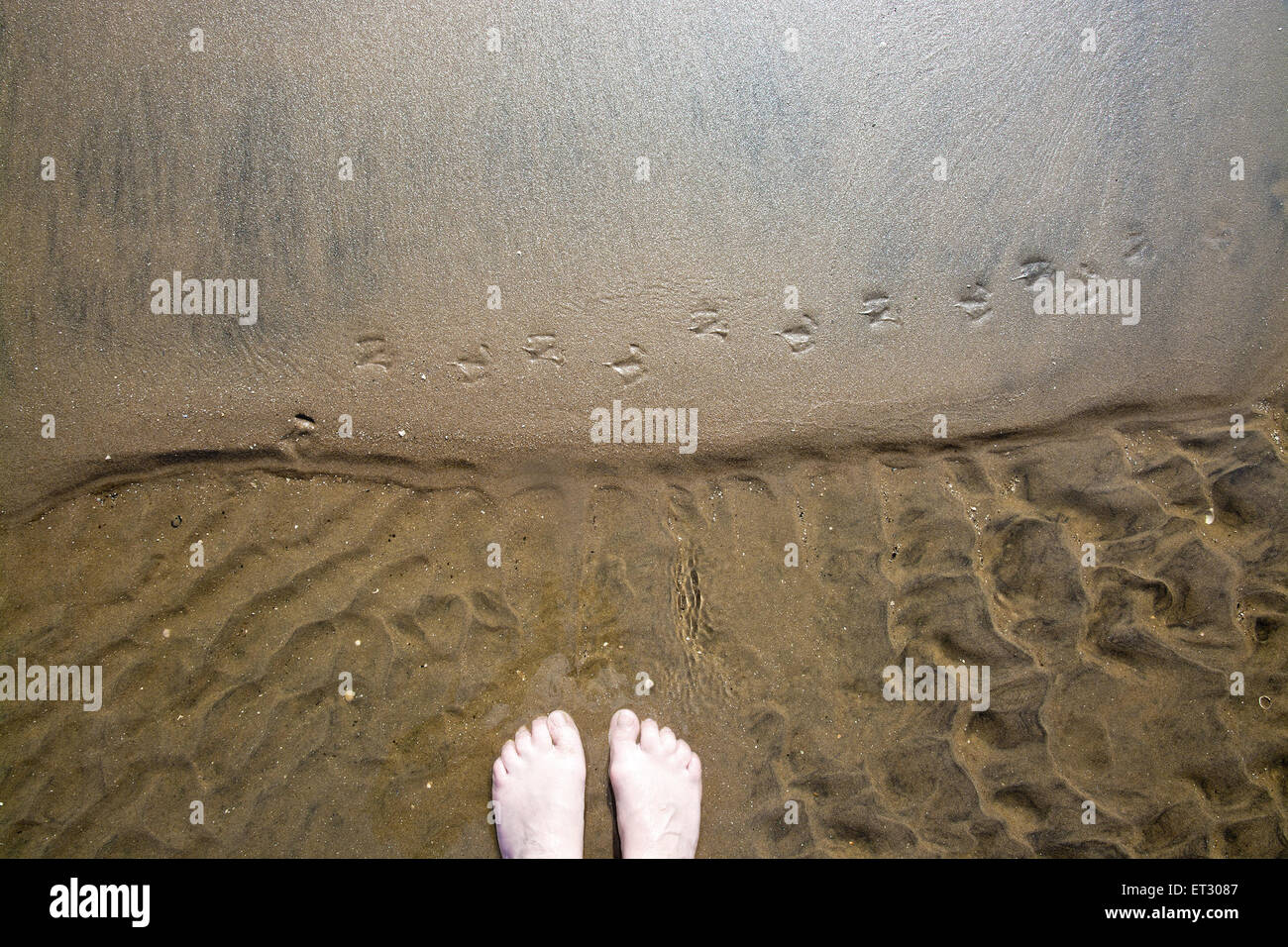 Natural feet hi-res stock photography and images - Alamy