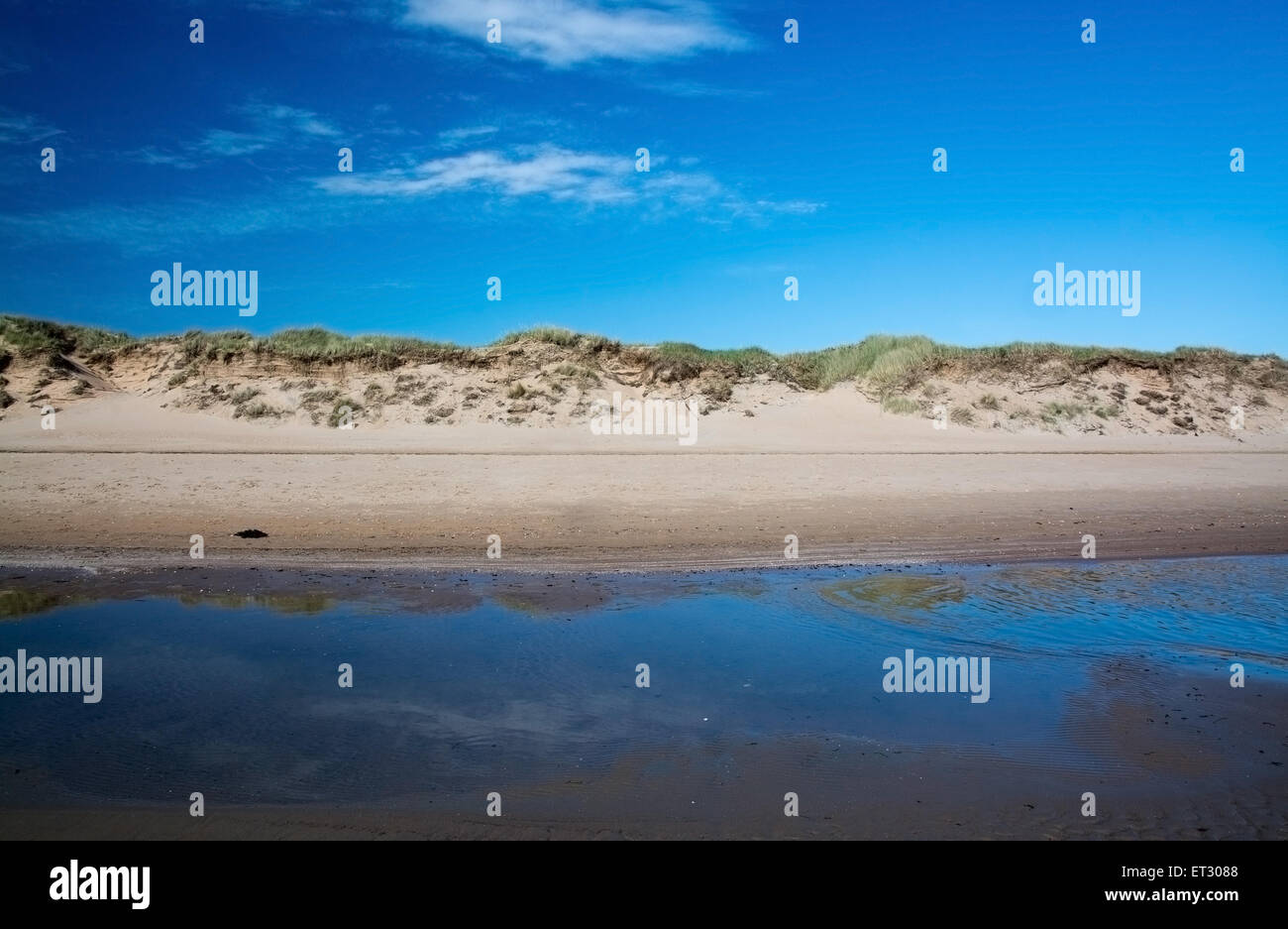 Sand dunes landscape with water and blue sky in Falkenberg, Sweden ...