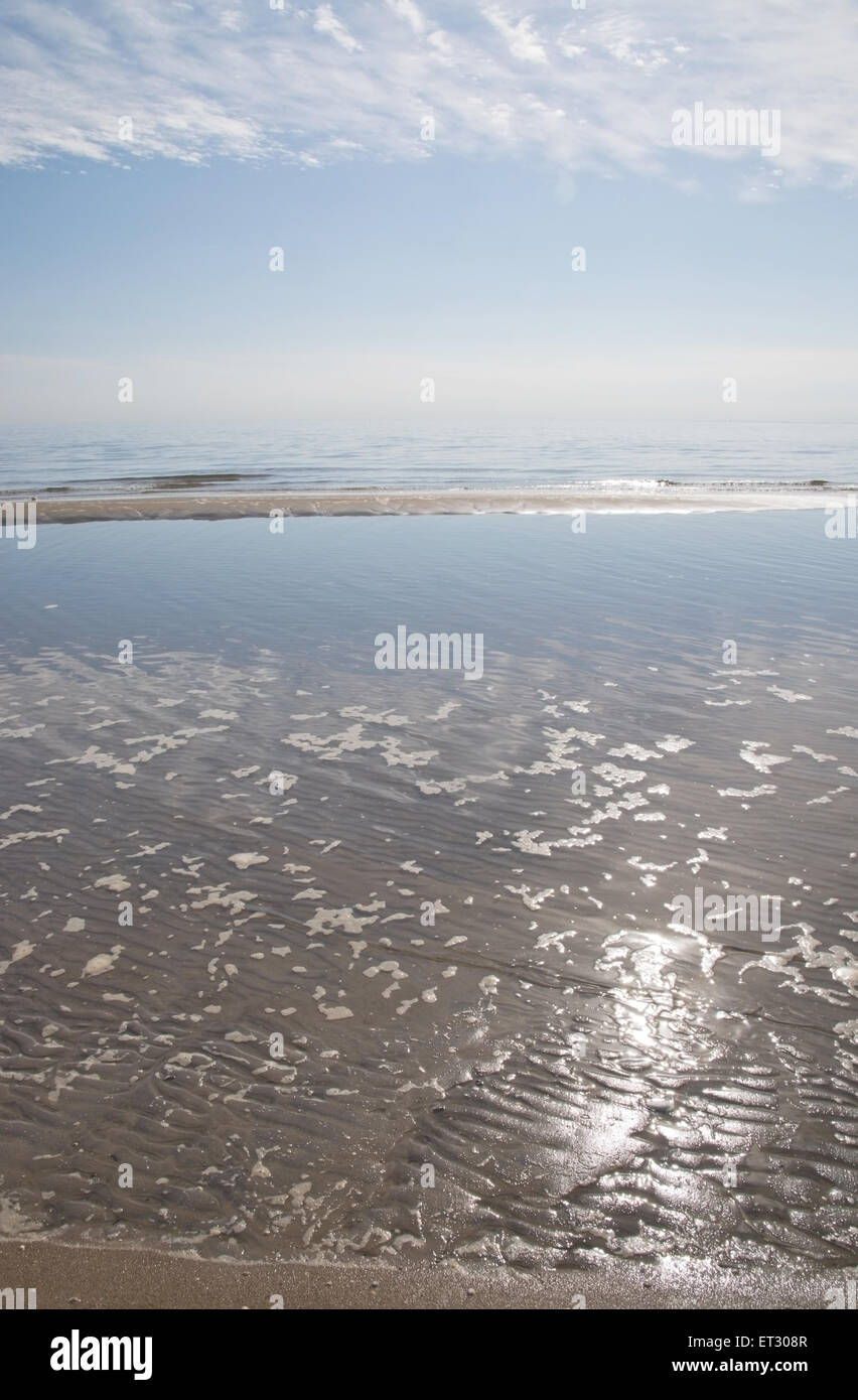 Sandy beach landscape in Falkenberg, Sweden in afternoon sunlight Stock ...