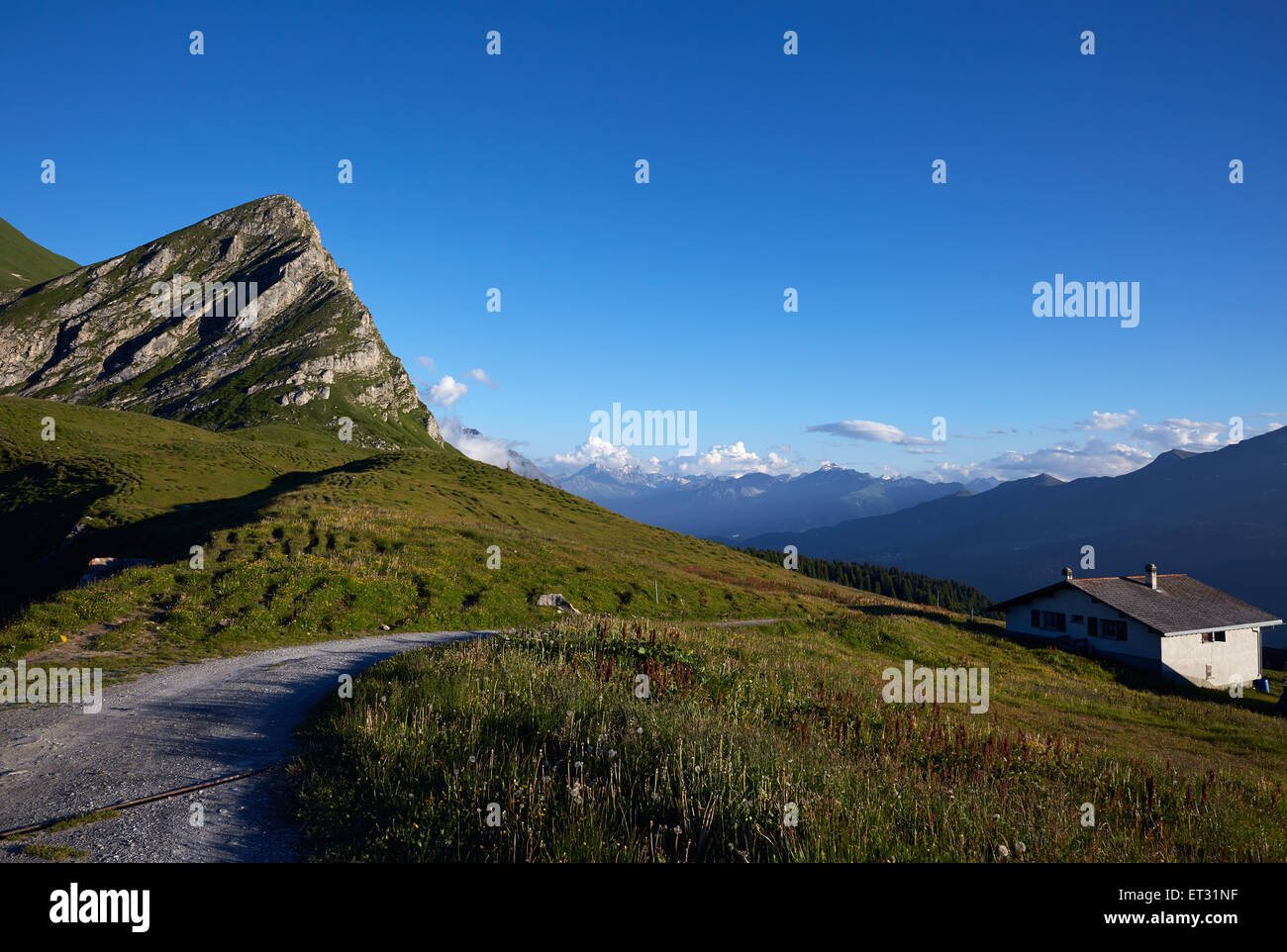 Parpan, Switzerland, on the Jochalp Stock Photo - Alamy