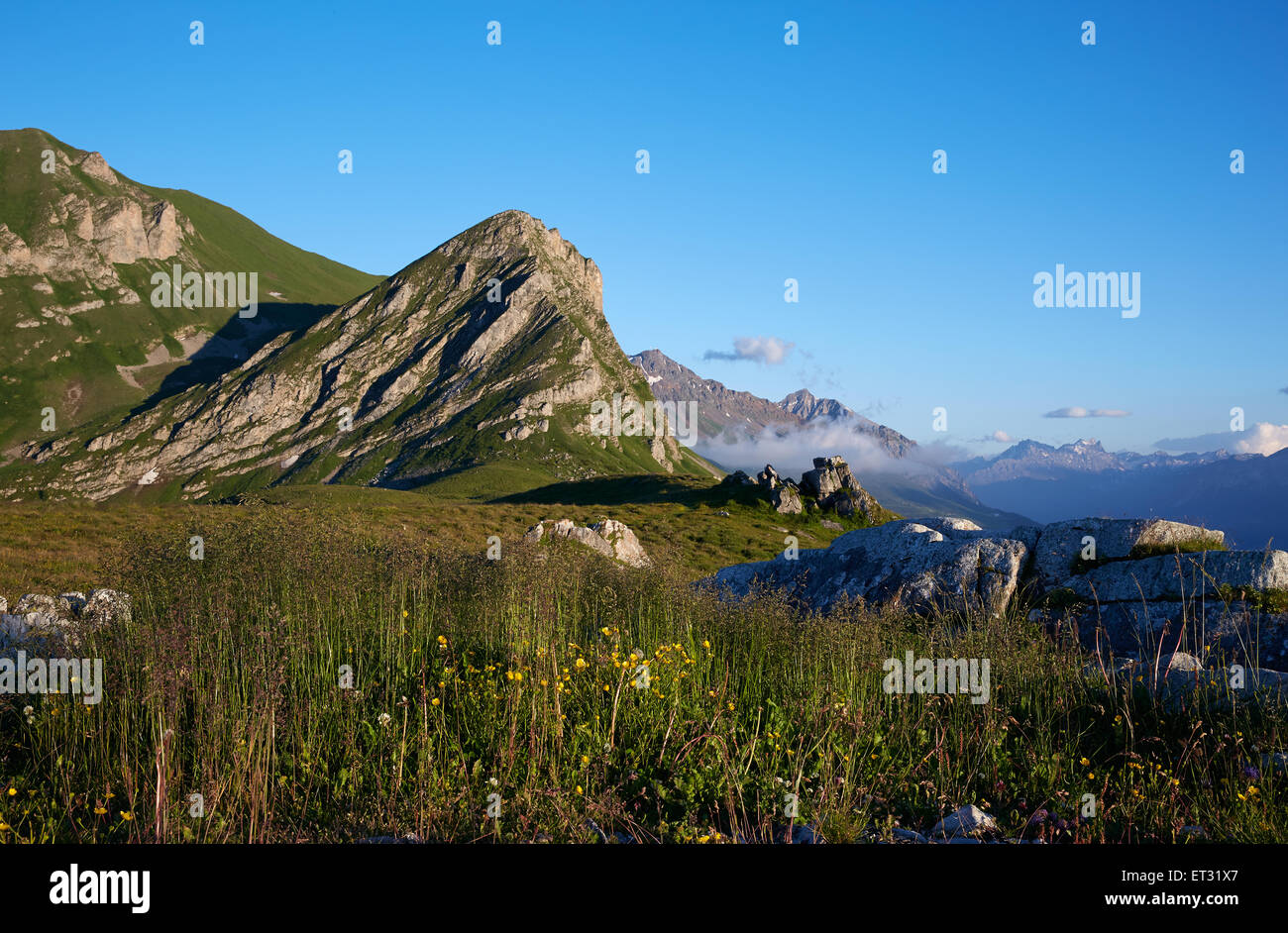 Parpan, Switzerland, on the Jochalp Stock Photo - Alamy