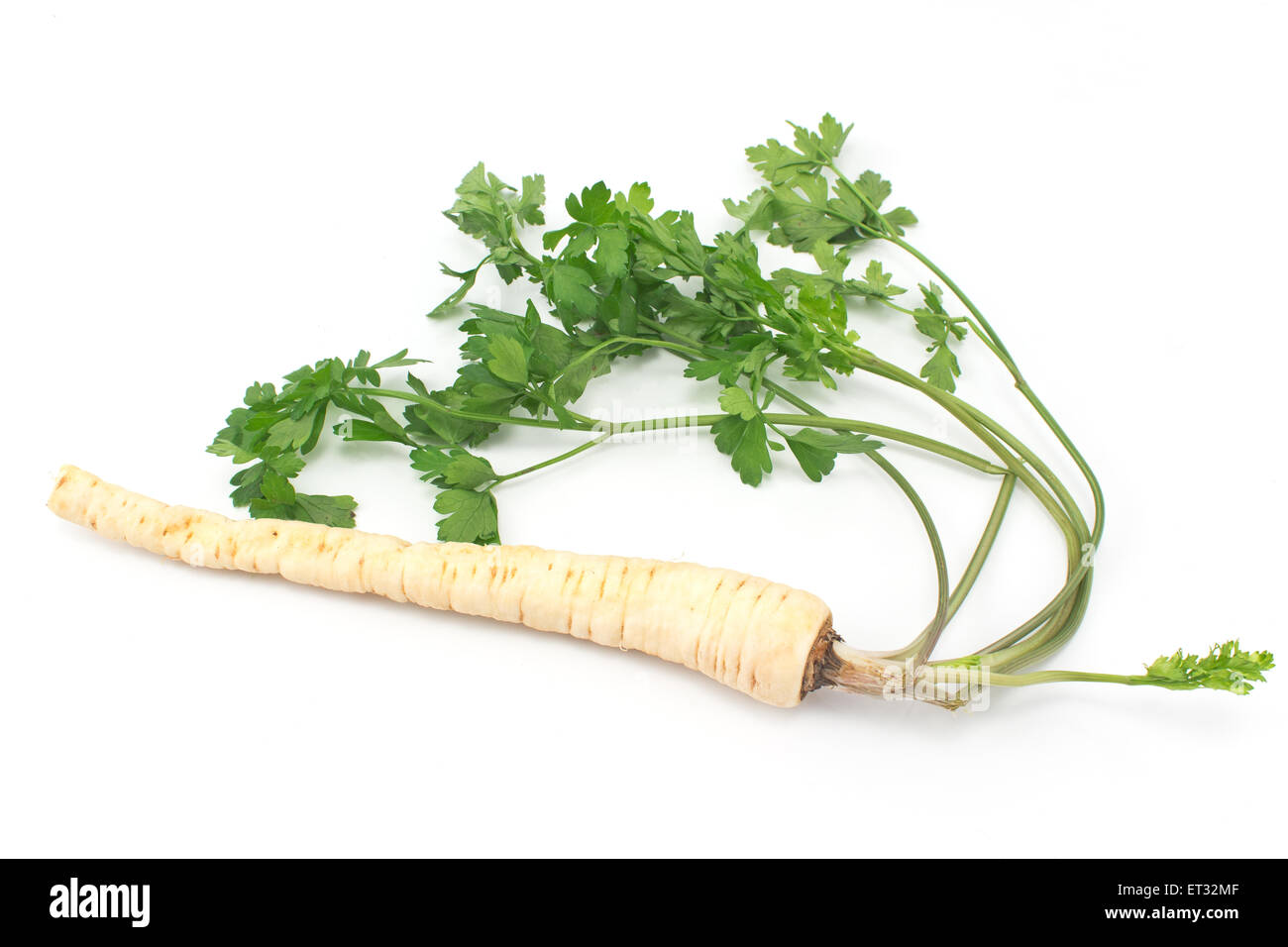 Fresh parsley with root and leaf on white Stock Photo - Alamy