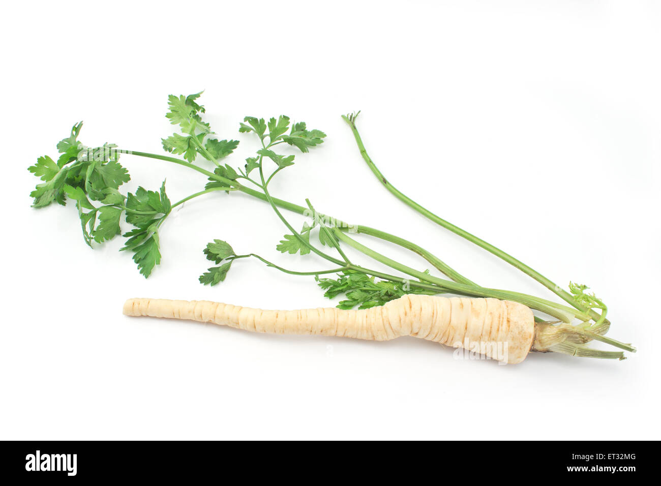 Fresh parsley with root and leaf on white Stock Photo - Alamy