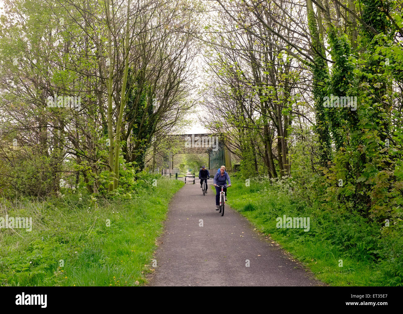 Two cyclists riding along a path with trees and grass. Bridge and gate ...