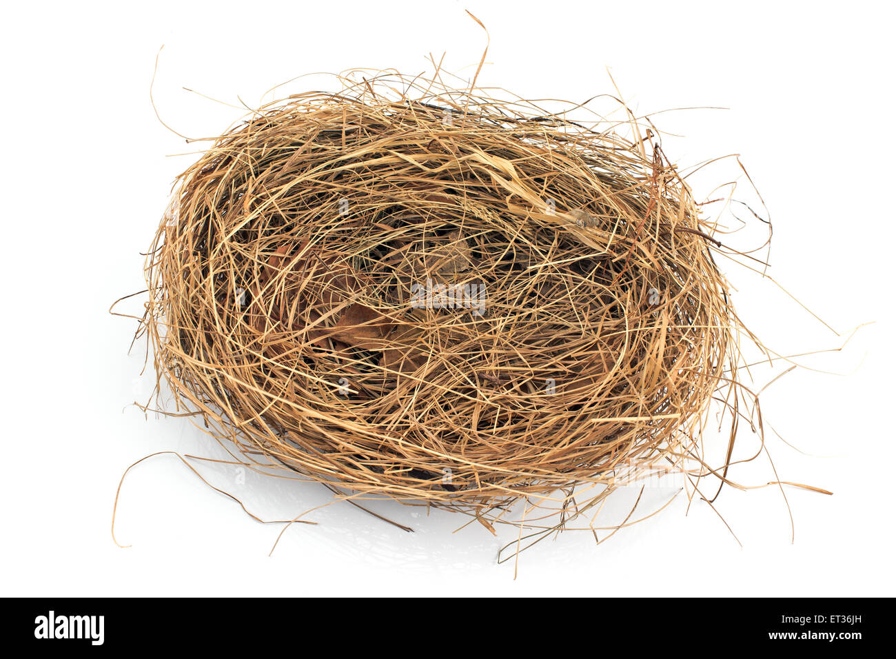 Empty nest hi-res stock photography and images - Alamy