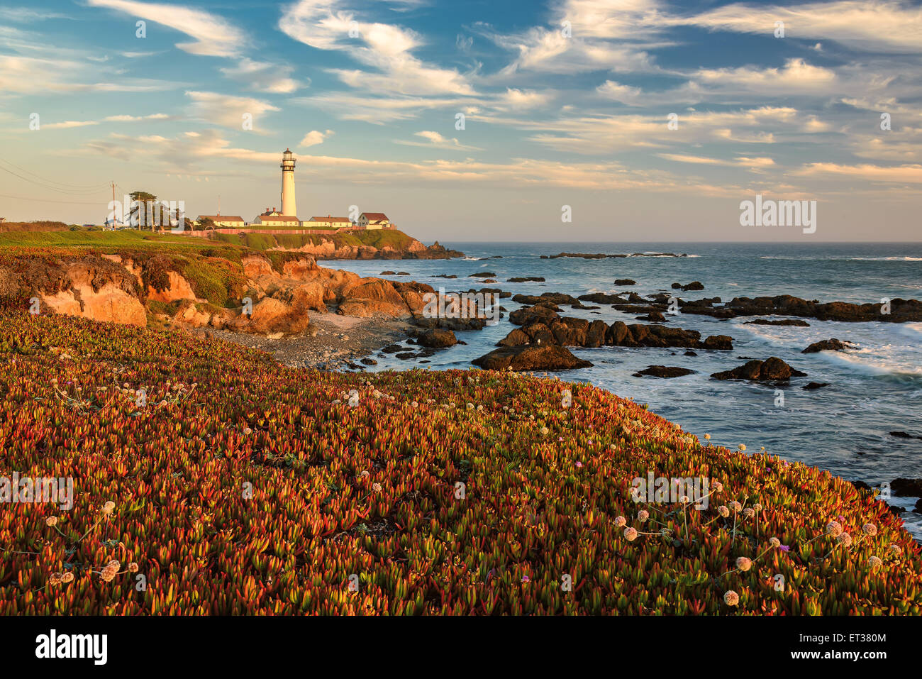 Blue point spring hi-res stock photography and images - Alamy