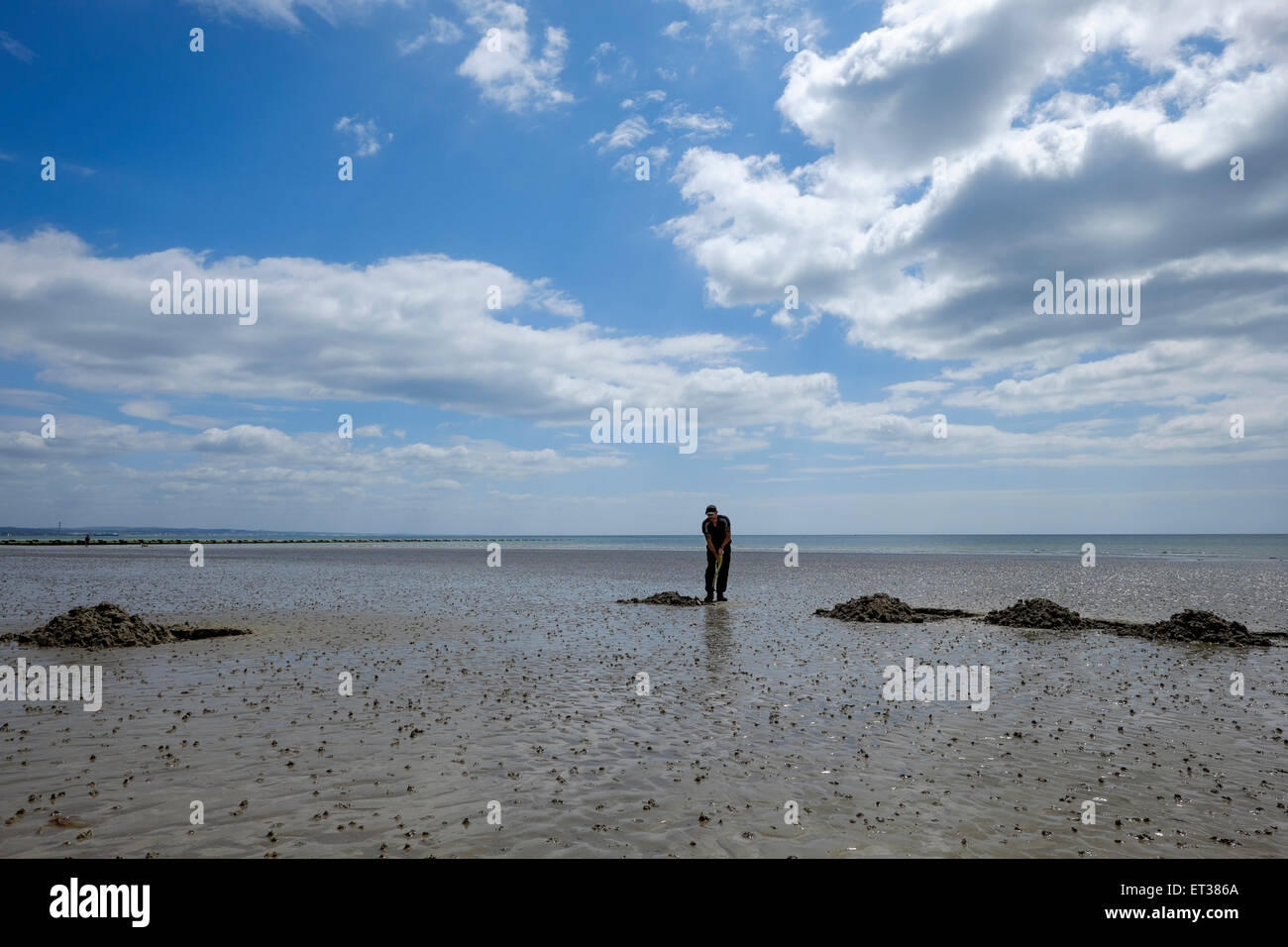 Digging for sea worms hi-res stock photography and images - Alamy