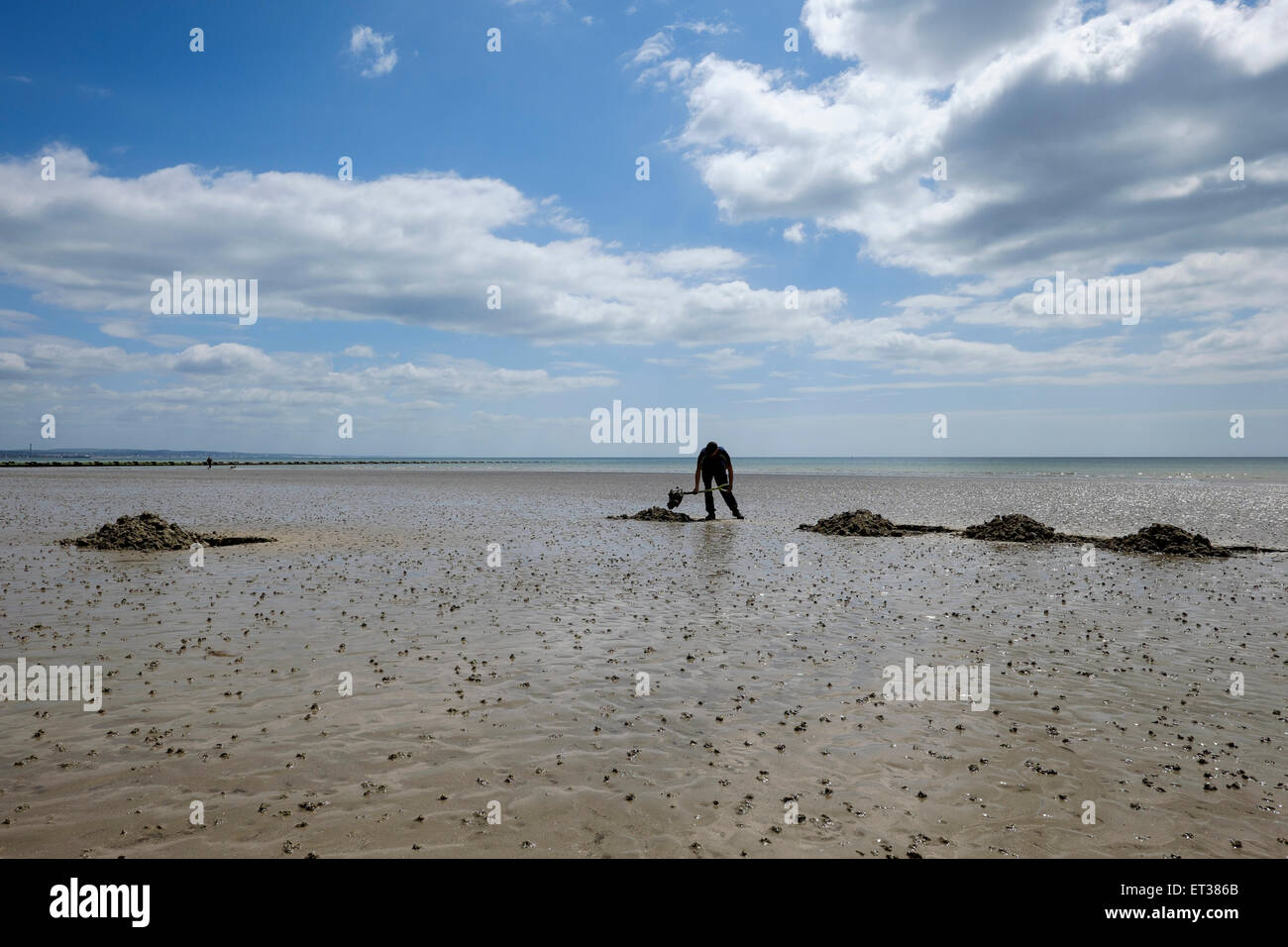Digging for sea worms hi-res stock photography and images - Alamy