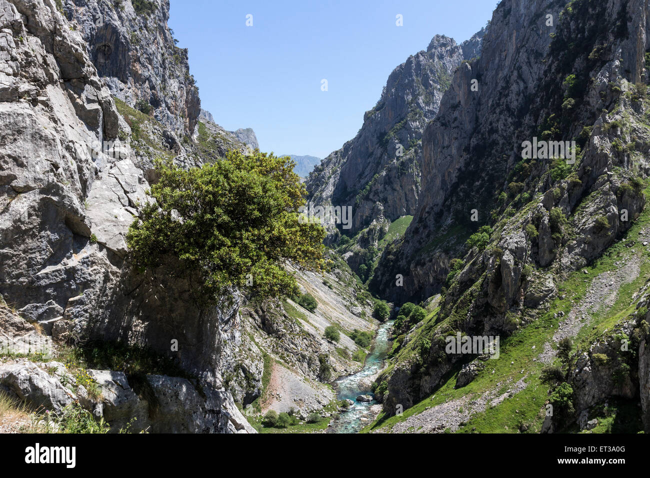 The Cares Gorge Picos De Europa Cordillera Cantabria Spain Stock Photo ...