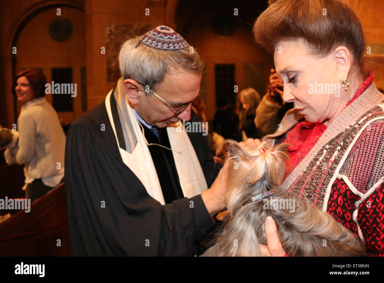 Blessing of the Animals event at Christ Church United Methodist on Park ...