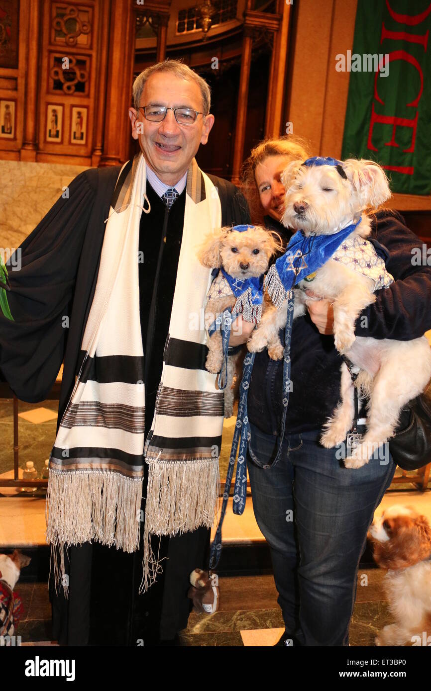 Blessing of the Animals event at Christ Church United Methodist on Park ...