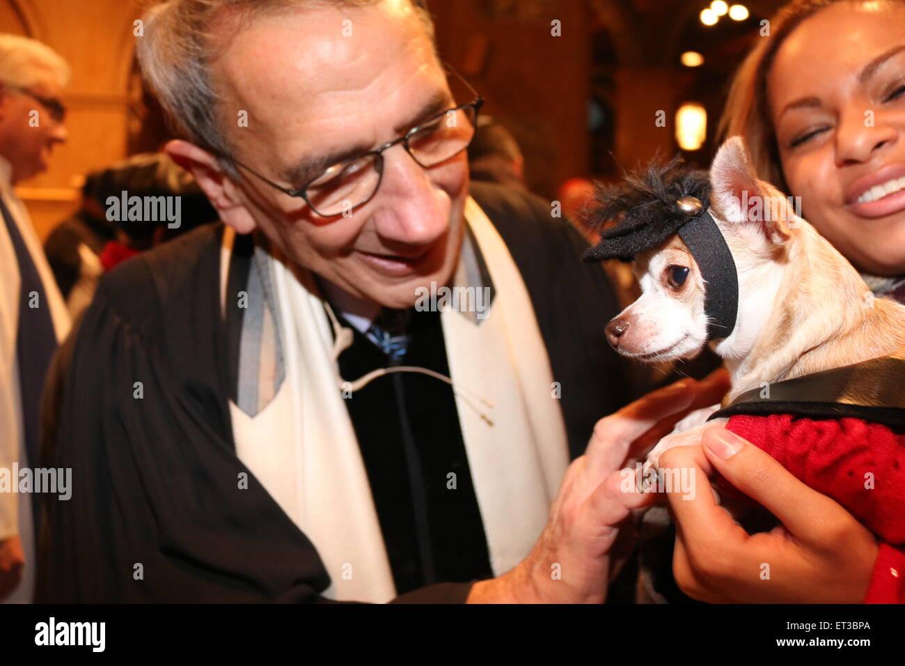 Blessing of the Animals event at Christ Church United Methodist on Park ...