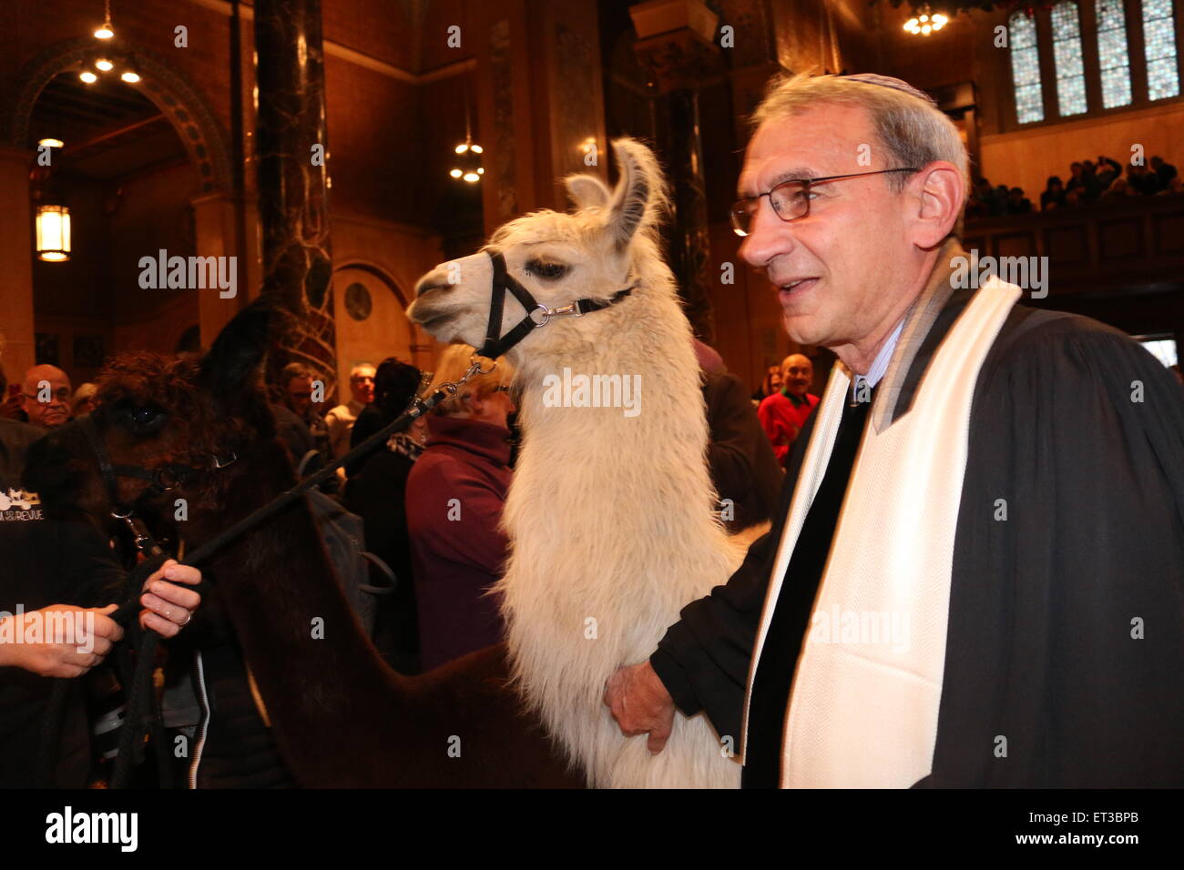 Blessing of the Animals event at Christ Church United Methodist on Park ...