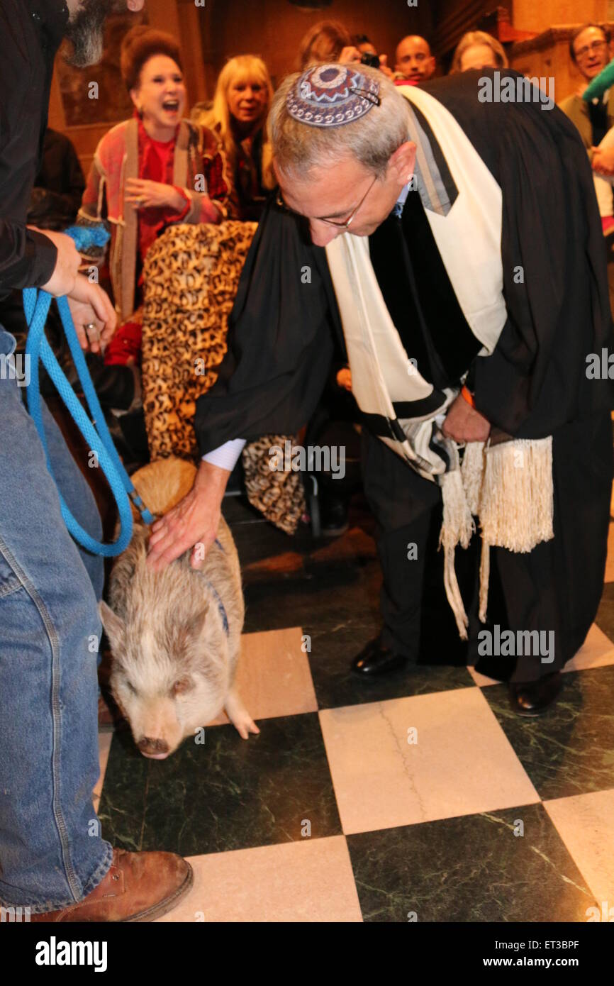 Blessing of the Animals event at Christ Church United Methodist on Park ...