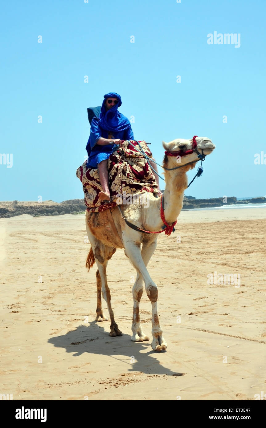 morocco berber riding camel on the atlantic ocean beach Stock Photo - Alamy