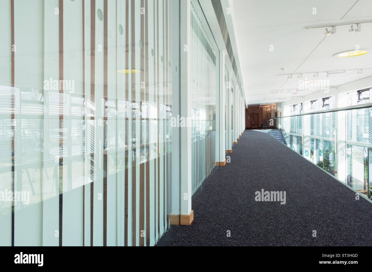 Modern office interior - corridor/lobby Stock Photo - Alamy