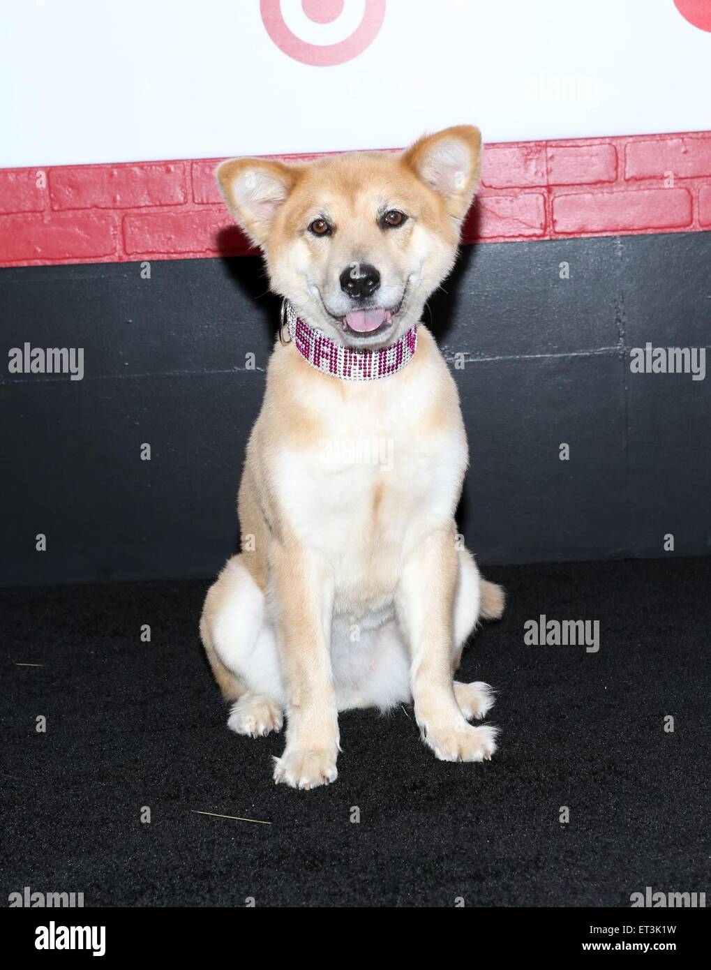 New York Premiere of 'Annie' at the Ziegfeld Theater - Arrivals ...