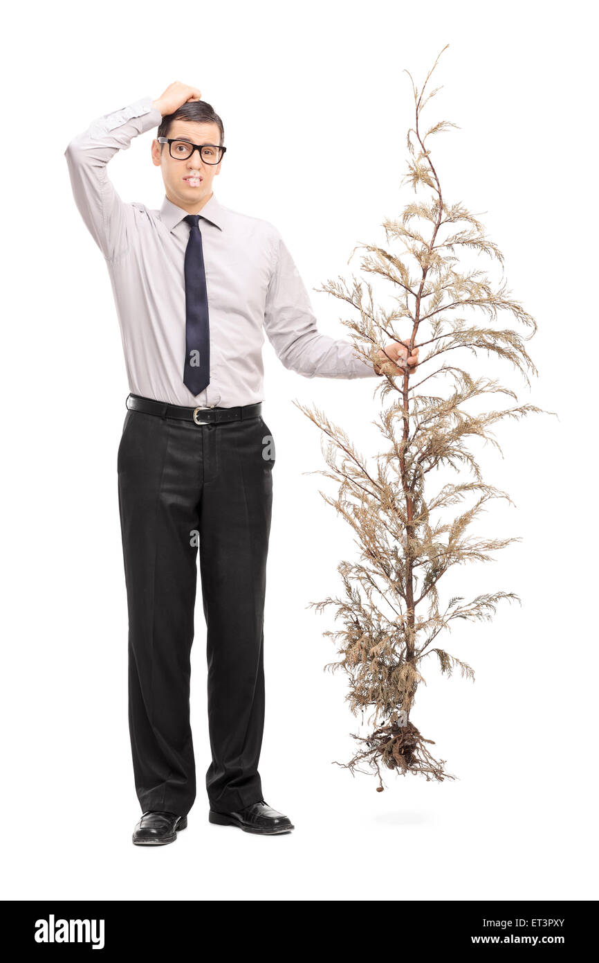 Full length portrait of a confused young guy holding a whole tree and ...