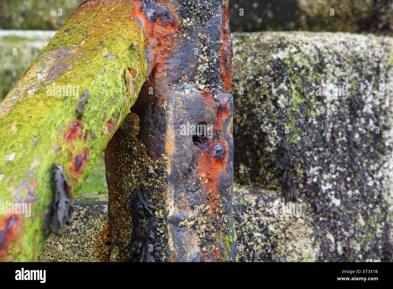 Rust series - The beauty of rust in the multi-coloured oxidation Stock ...