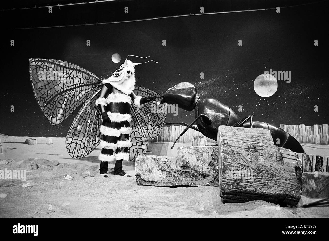 The Dr Who television serial written by Bill Struttonwill, 'The Web ...