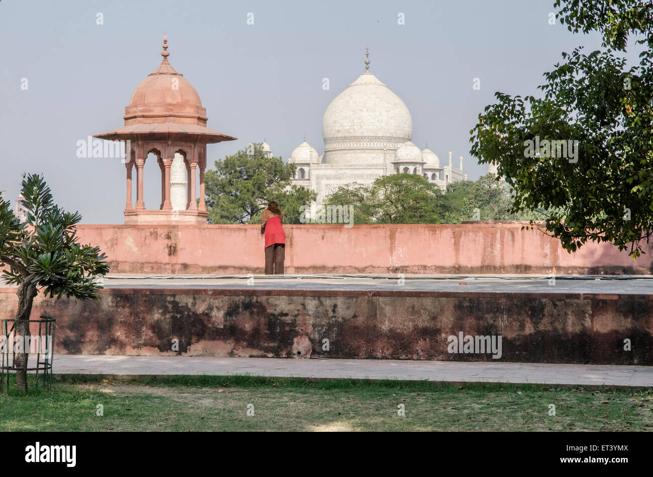 Taj mahal pillar hi-res stock photography and images - Alamy