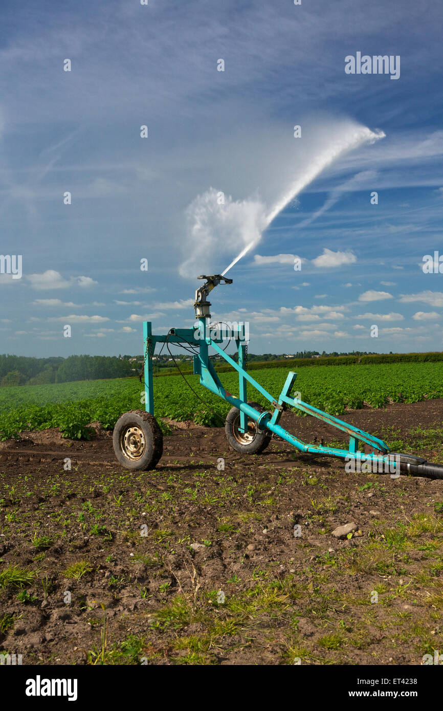 Irrigator hi-res stock photography and images - Alamy