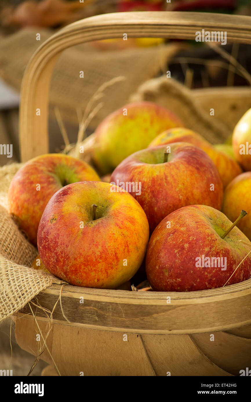 Fresh yellow apples in basket hi-res stock photography and images - Alamy