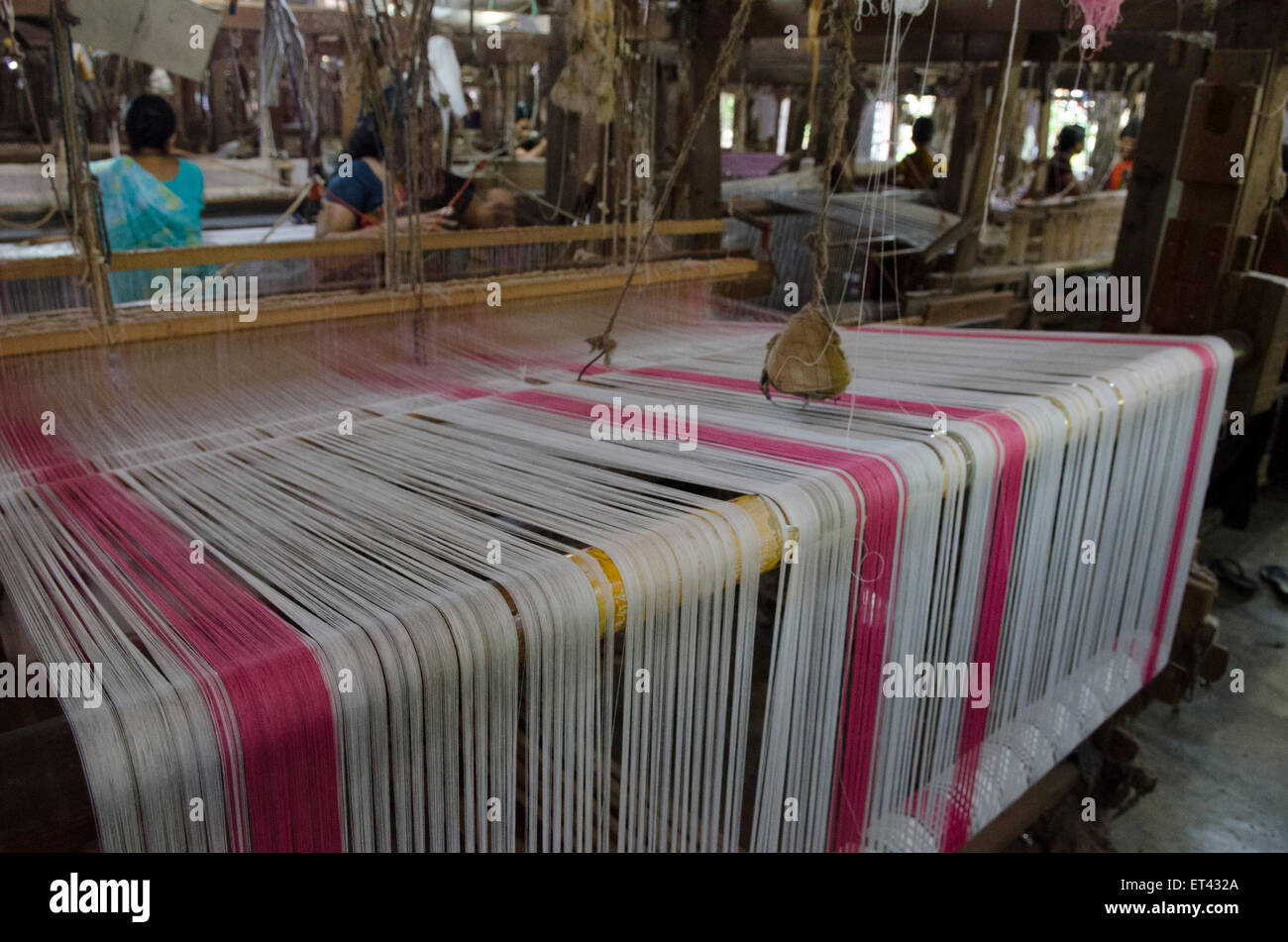 Pink white threads enter handloom hi-res stock photography and images ...