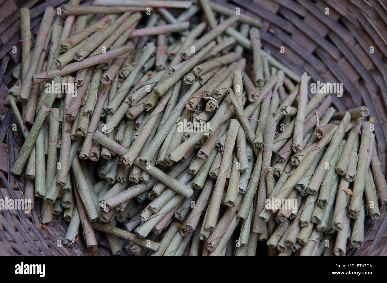 a basket of hand rolled beedies in a beedy factory Stock Photo - Alamy