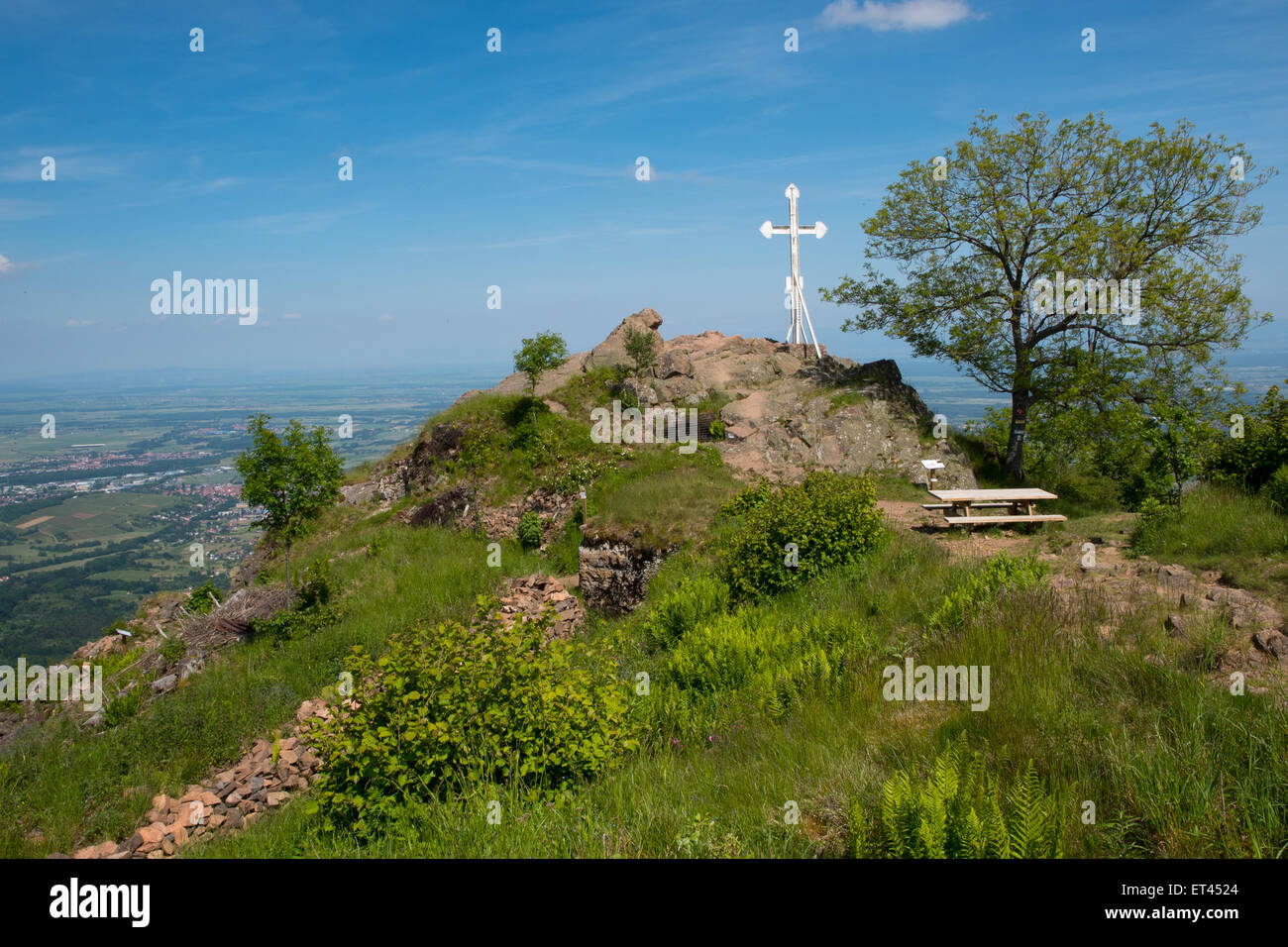 Cross of Alsace-Lorraine volunteers, summit of Hartmannswillerkopf ...