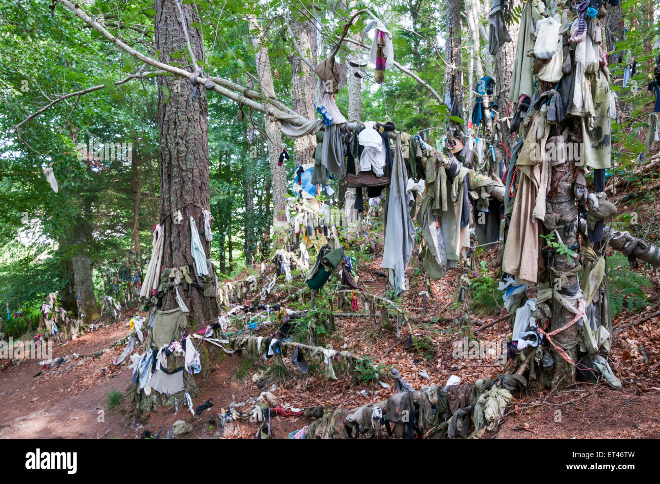Clootie Tree High Resolution Stock Photography and Images - Alamy