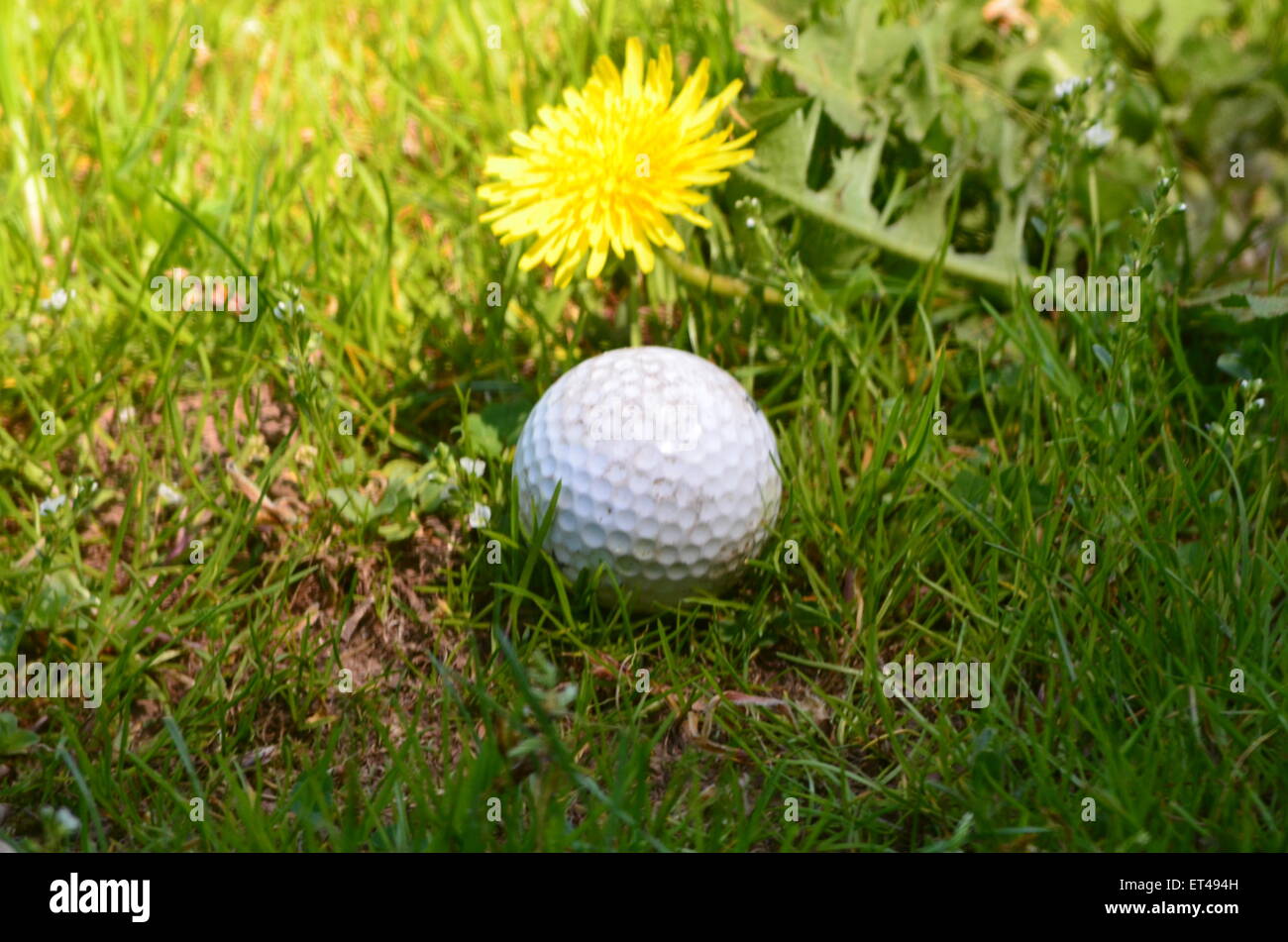 Ball of weed hi-res stock photography and images - Alamy