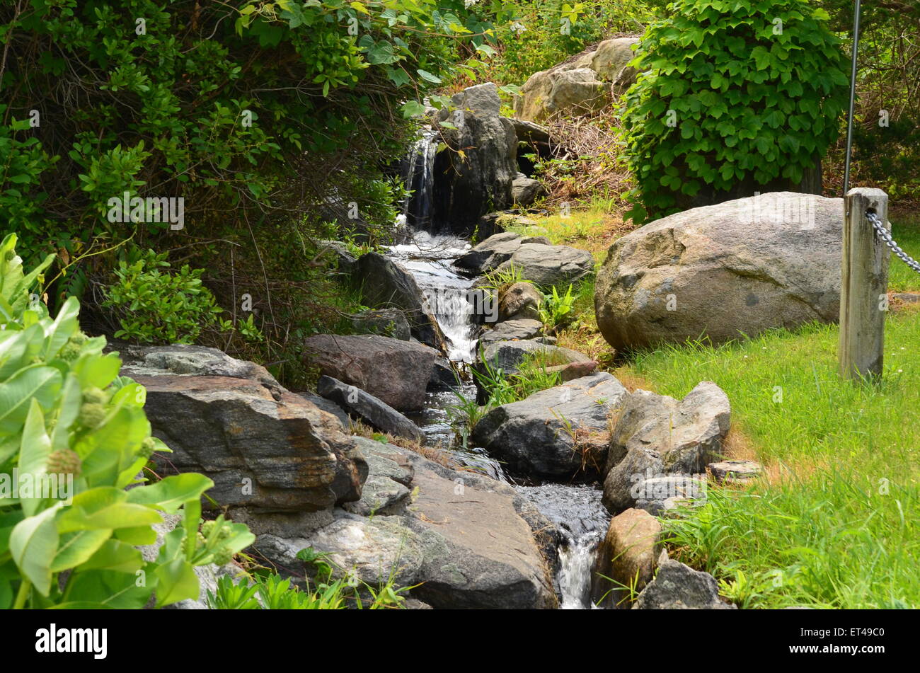 Waterfall in a small brook Stock Photo - Alamy