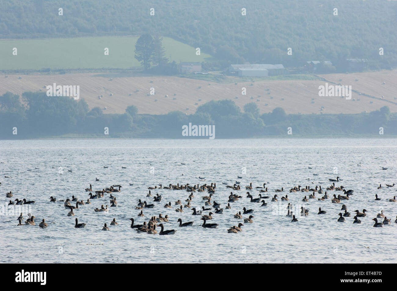 Evanton hi-res stock photography and images - Alamy