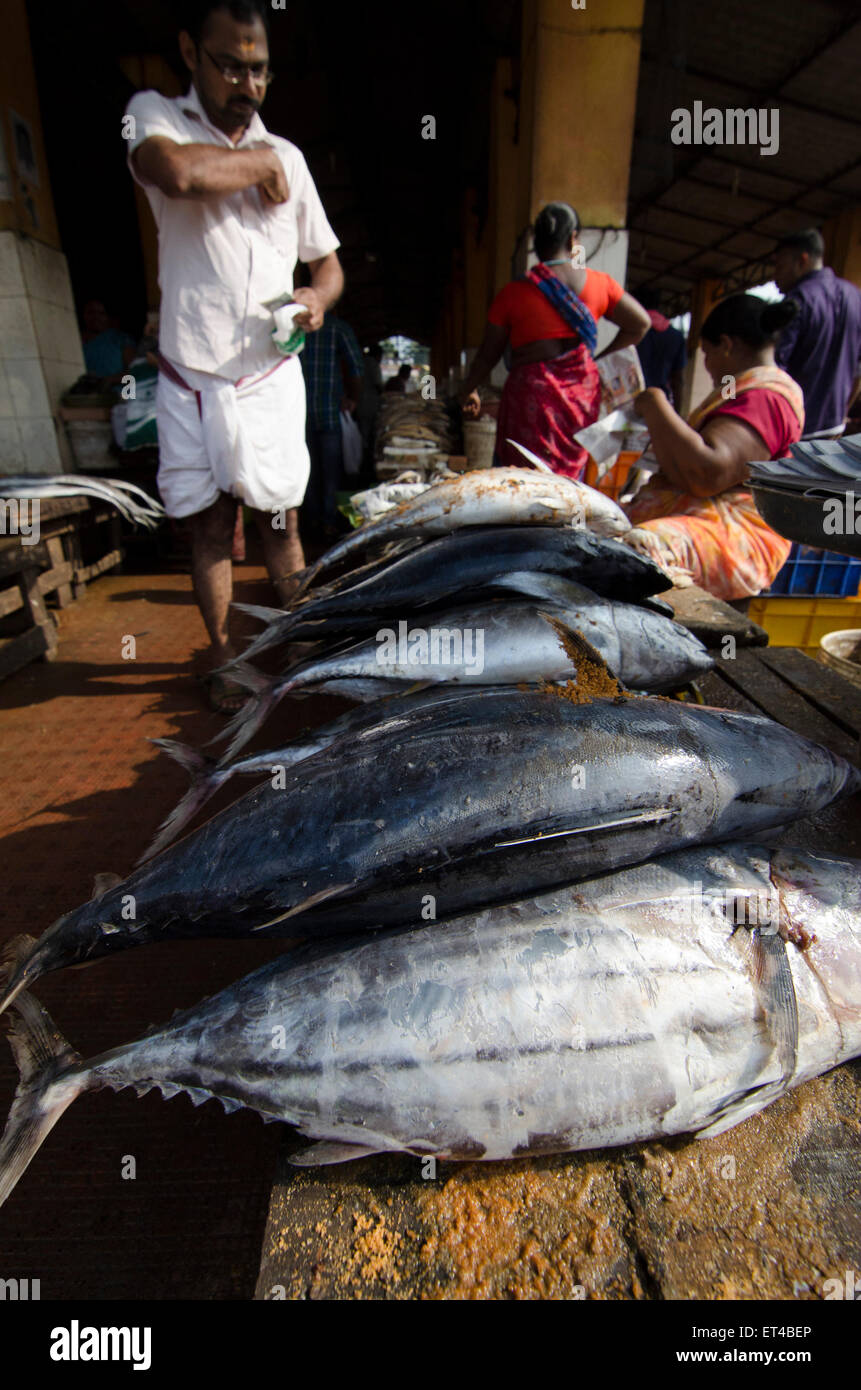An Indian man buy tuna at an Indian open air market Stock Photo - Alamy