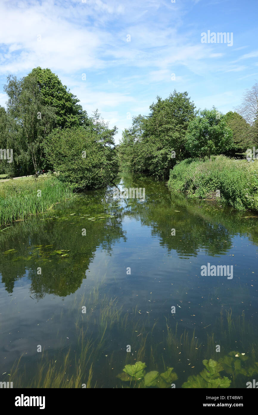 Colne park essex hi-res stock photography and images - Alamy