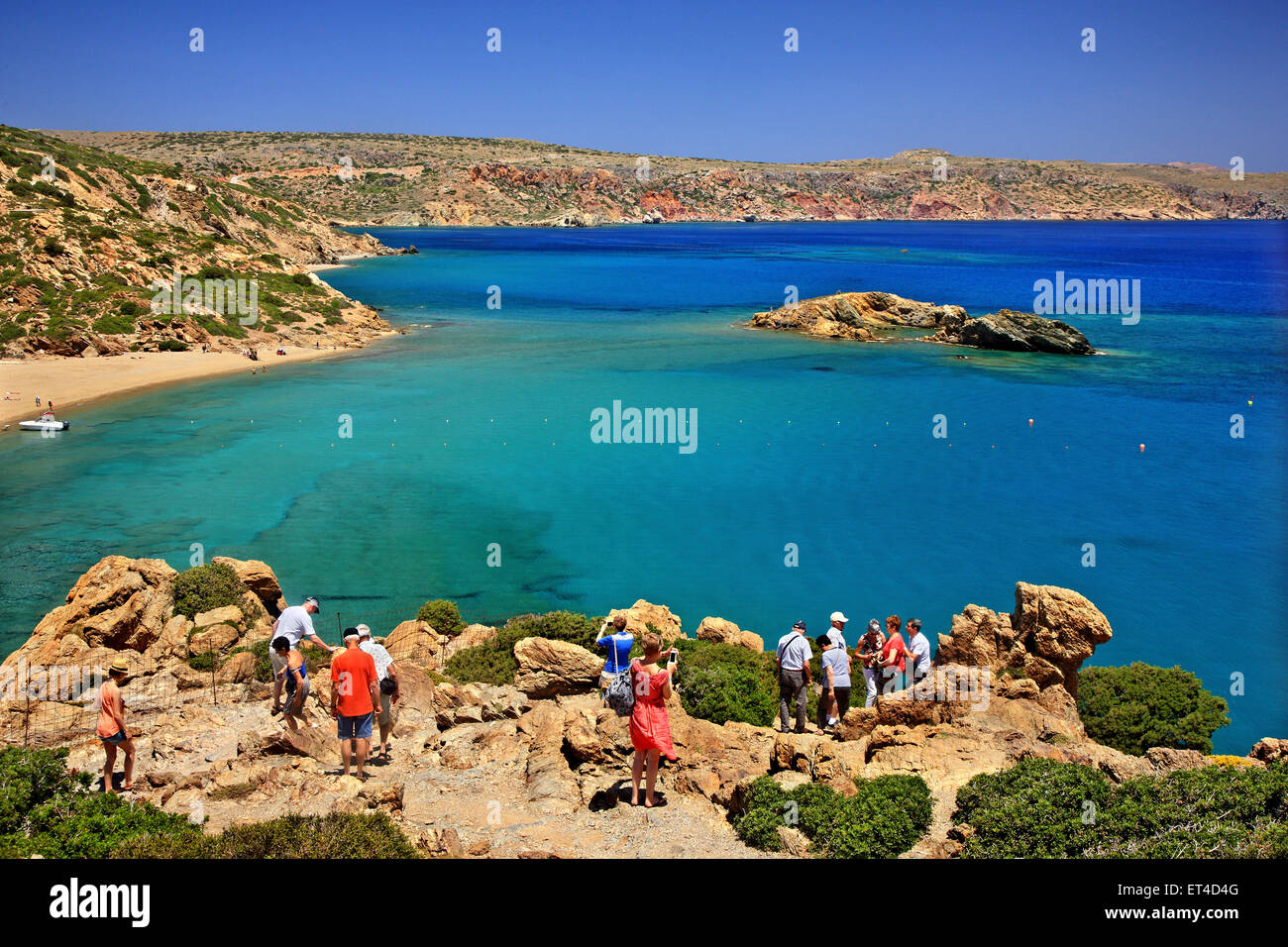 Crystal palm tree hi-res stock photography and images - Alamy