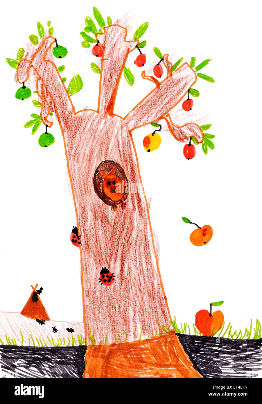 child's drawing on paper. forest life Stock Photo - Alamy