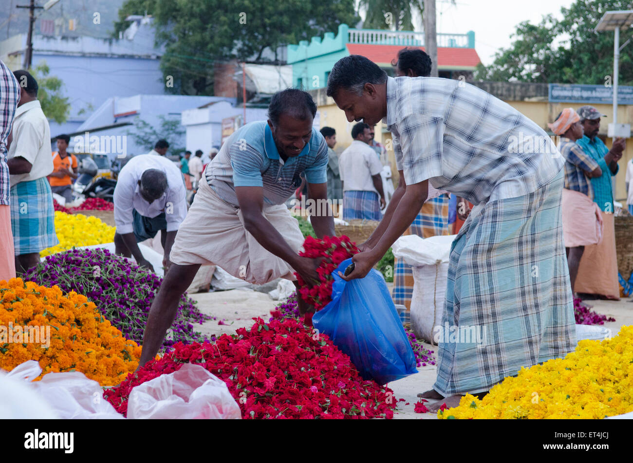 men pack flowers at Thovalai flower market in south India Stock Photo ...